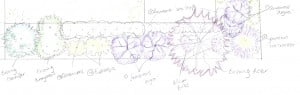 Planting plan service - Garden Ninja: Lee Burkhill Garden Design