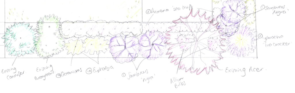 Planting plan service - Garden Ninja: Lee Burkhill Garden Design