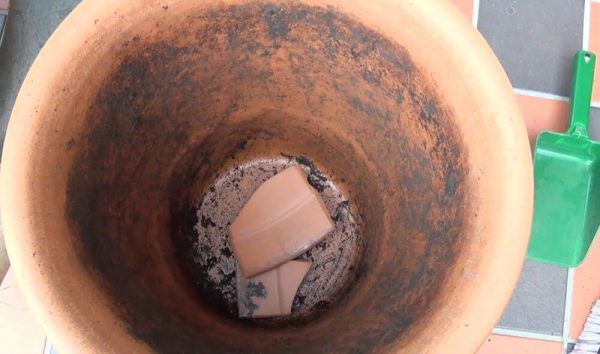 How to repot a plant: container gardening top tips - Garden Ninja: Lee ...