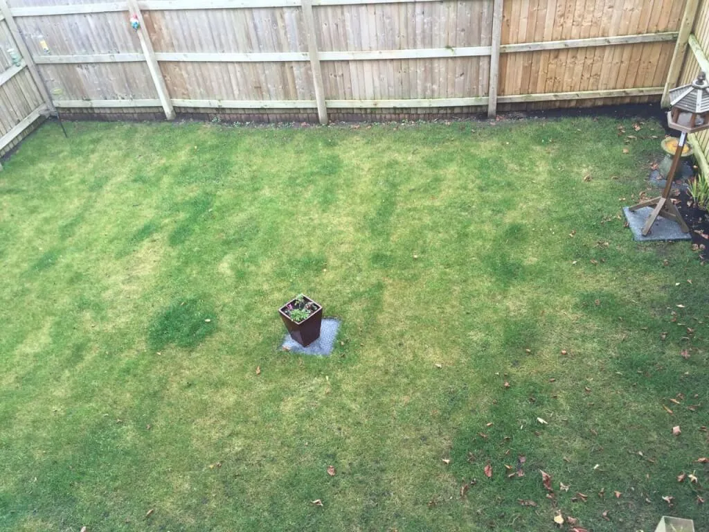 New Build Garden Design - Garden Ninja: Lee Burkhill Garden Design