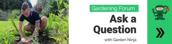 Ask a Gardening Question Forum - Garden Ninja: Lee Burkhill Garden Design