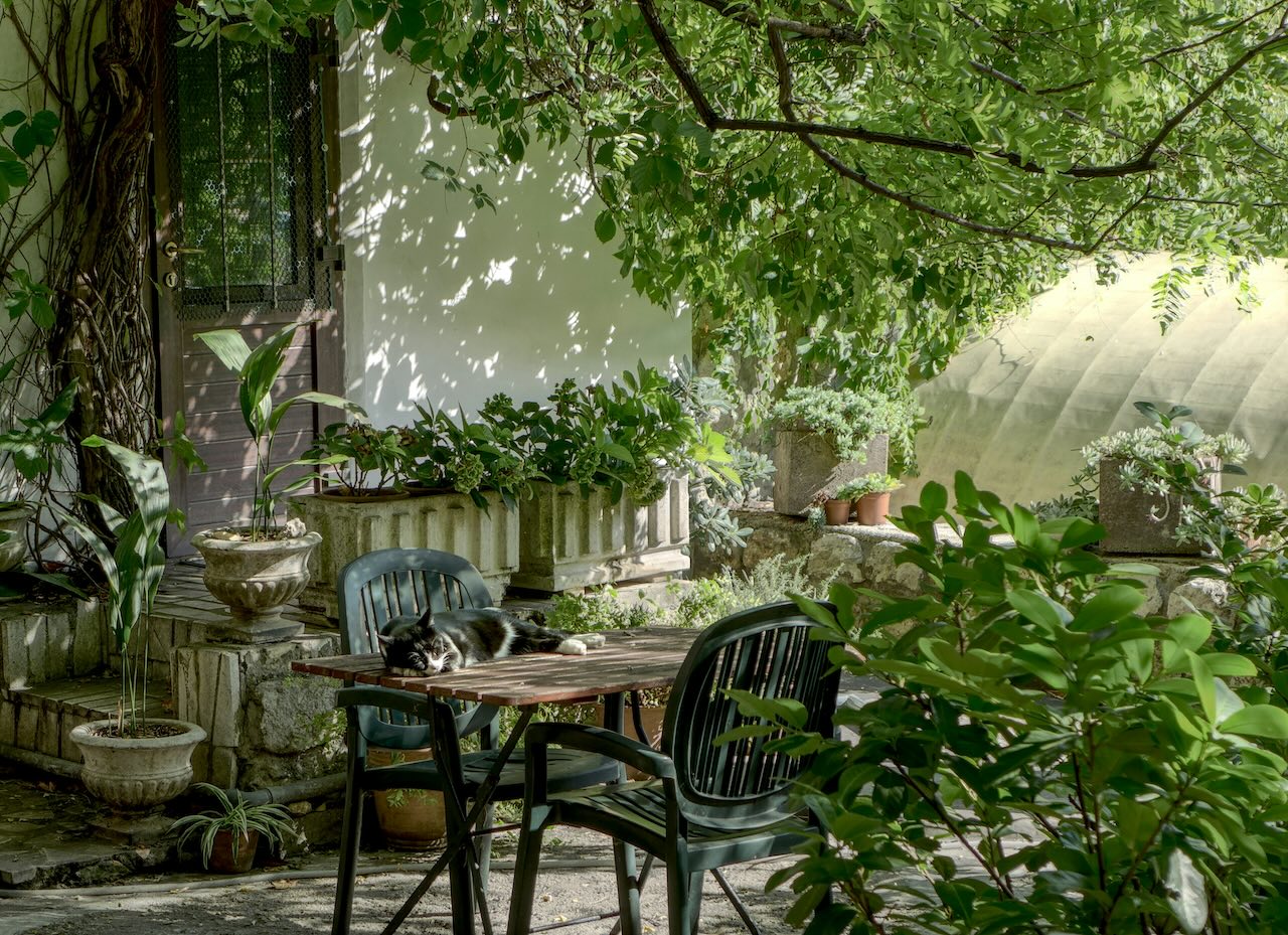 How to design a garden for a rental property: top tips! - Garden Ninja ...