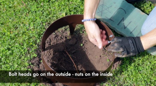 How to fit tree rings: planting trees in lawns - Garden Ninja: Lee ...