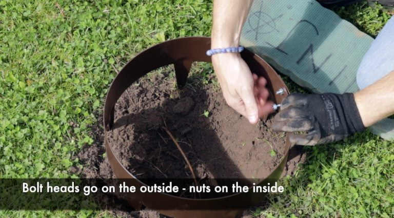 How to fit tree rings: planting trees in lawns - Garden Ninja: Lee ...
