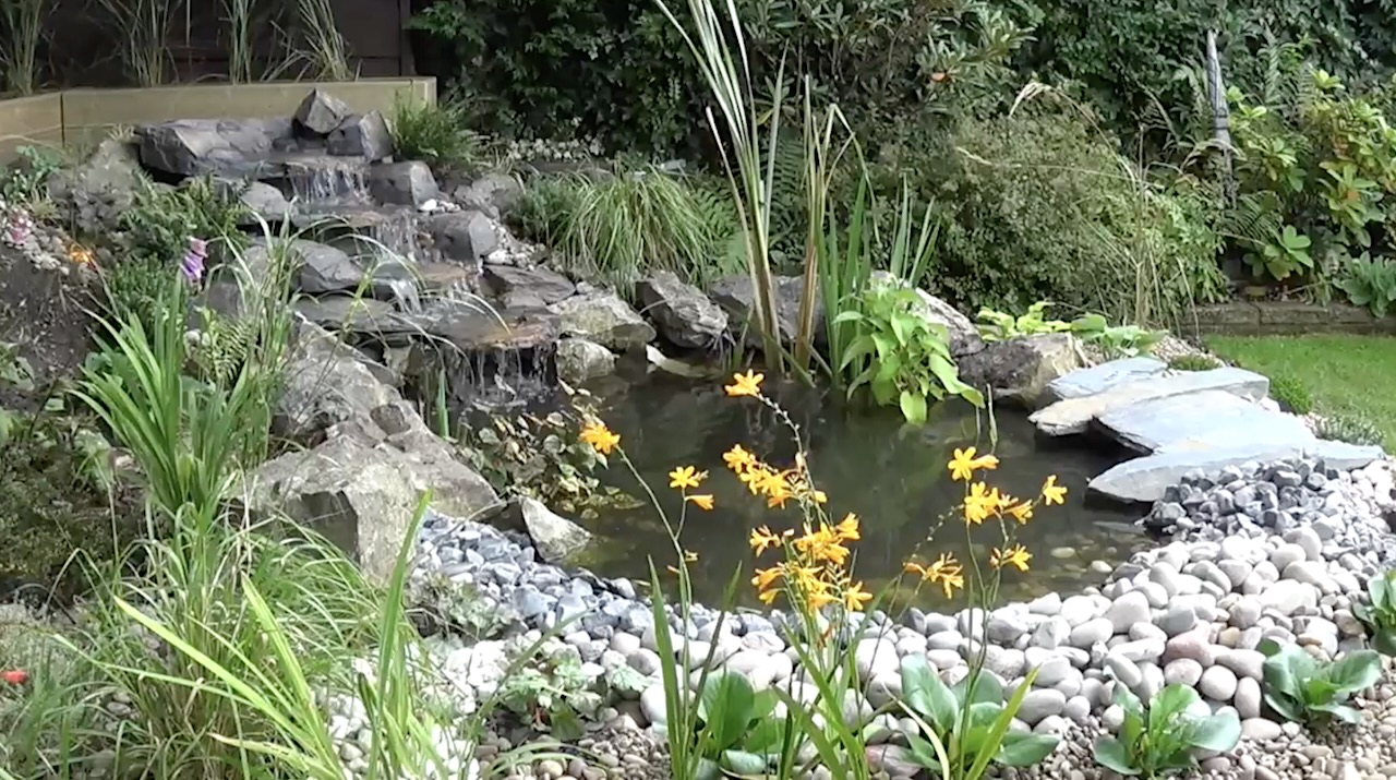 How to Create a Pond or Water Feature in Your Garden: Ultimate Beginner ...