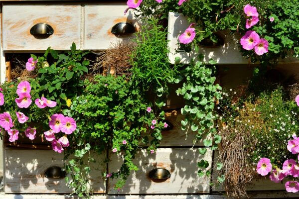 How to design a garden for a rental property: top tips! - Garden Ninja ...