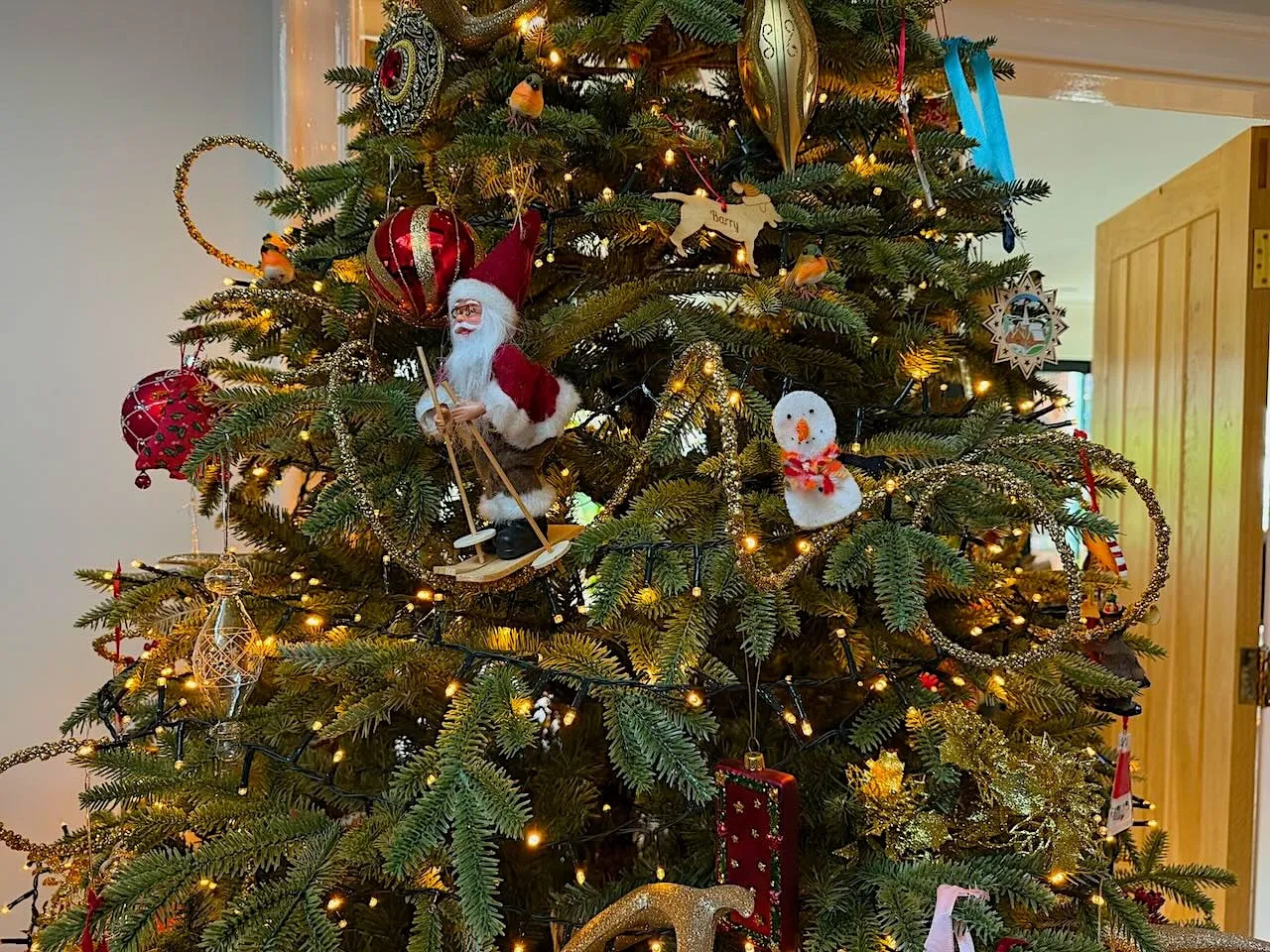 Living & Real Christmas Tree Guide: Making it last & how to recycle ...