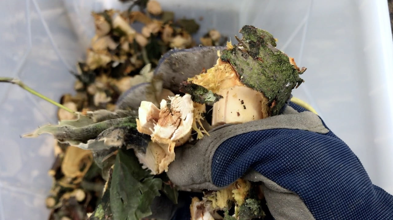 June Garden Tour 2020: Improving soil & shredding for compost - Garden ...