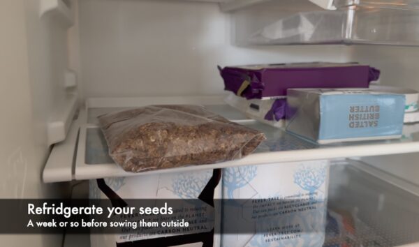 How to grow yellow rattle: the meadow maker - Garden Ninja: Lee ...