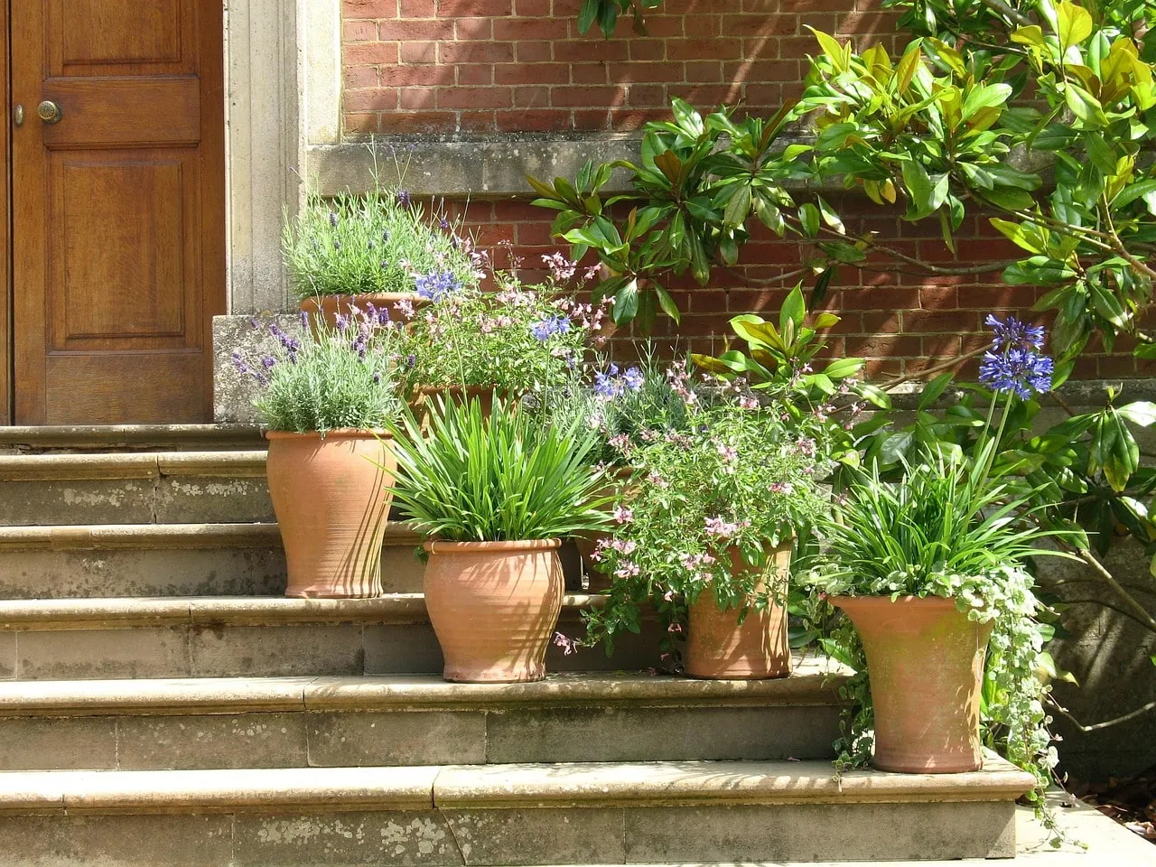Complete Beginner's Guide to Container Gardening: Choosing Pots ...