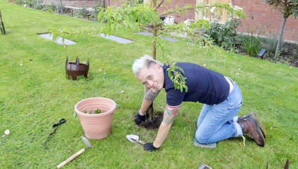 How to fit tree rings: planting trees in lawns - Garden Ninja: Lee ...