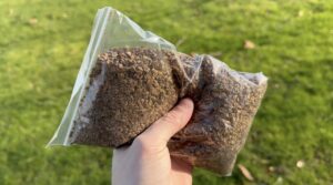 How to grow yellow rattle: the meadow maker - Garden Ninja: Lee ...