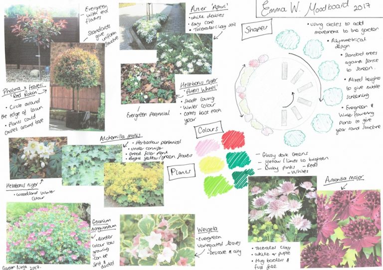Overlooked Back Garden Design Guide - Garden Ninja: Lee Burkhill Garden ...