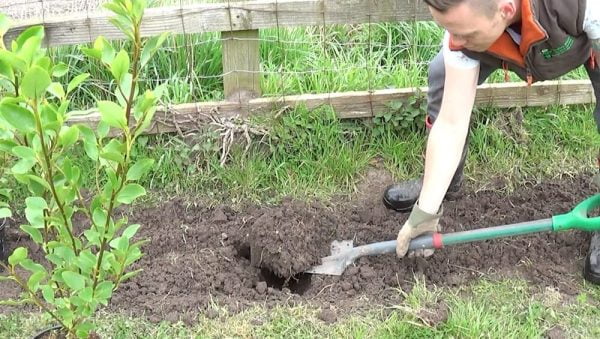 No Dig Gardening for Beginners: Charles Dowding & Garden Ninja