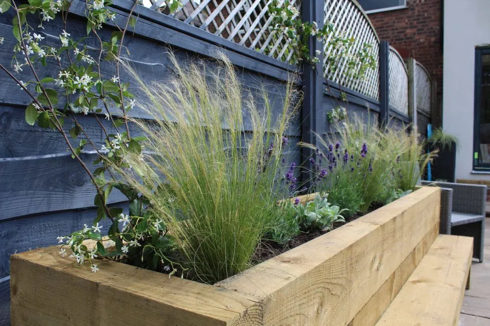 Best Ornamental Grasses for small & large Gardens - Garden Ninja: Lee ...