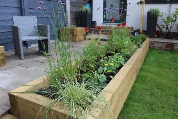 Plants for Chalk Soil: 30 Easy Winners for Alkaline Gardens UK - Garden ...