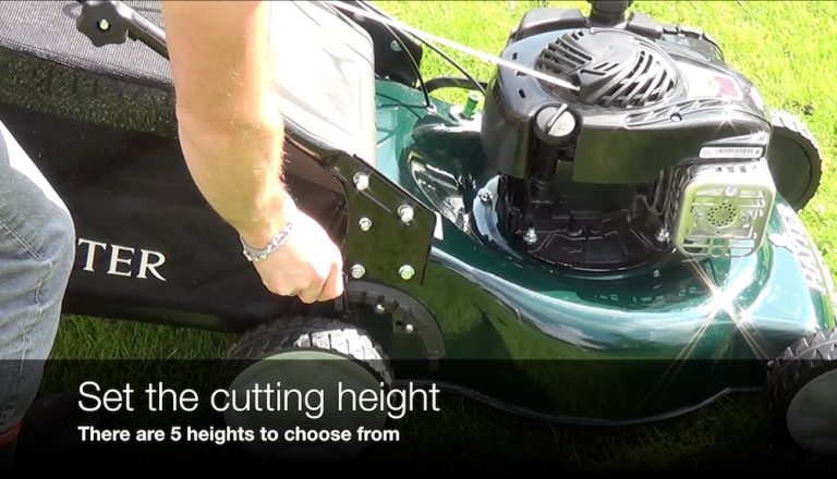 Hayter Osprey 46 Lawn Mower Review - Garden Ninja: Lee Burkhill Garden ...
