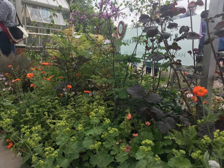 Exploding Atom Garden Part 6 High Impact Garden Borders - Garden Ninja ...