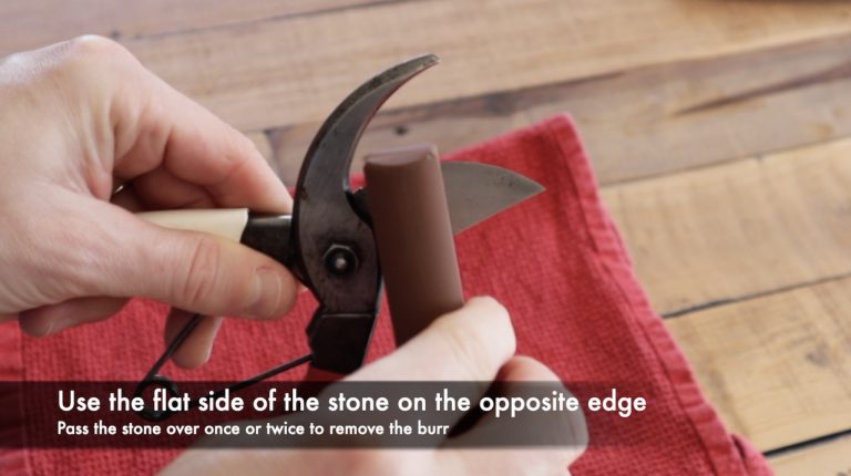 How to Sharpen Secateurs & Maintain Garden Snips - Garden Ninja: Lee ...