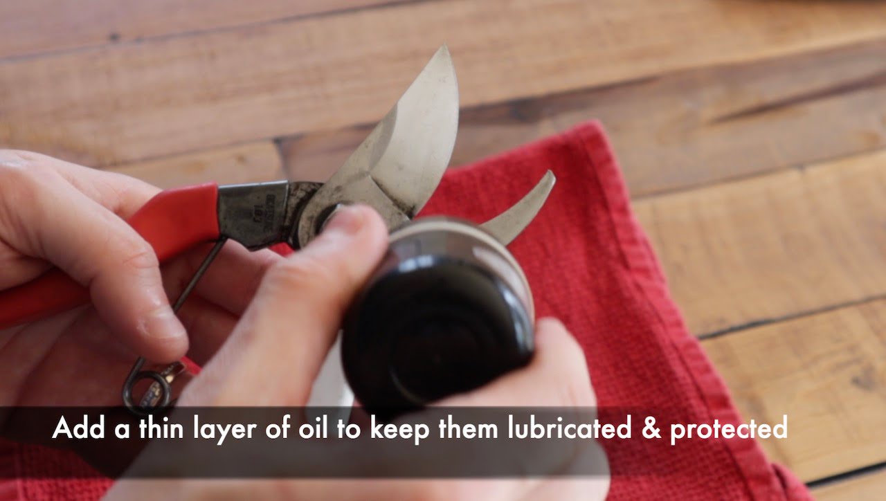 How to Sharpen Secateurs & Maintain Garden Snips - Garden Ninja: Lee ...