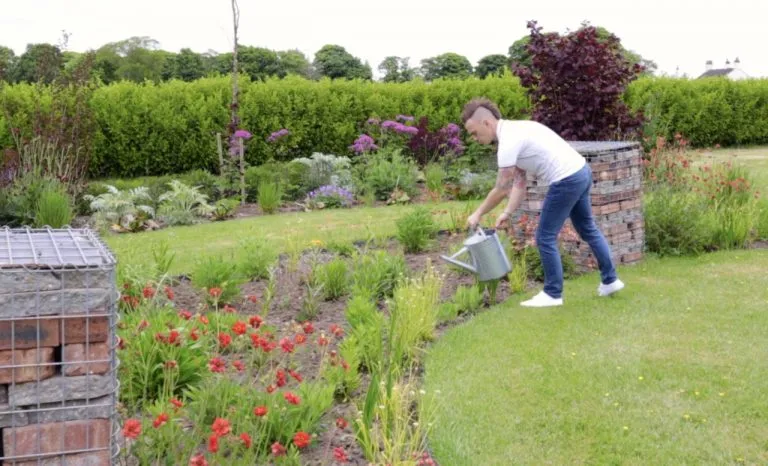 The Complete Flamingo Tree Care Guide: How to Look After Salix integra ...