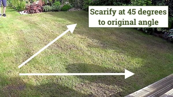 How to scarify a lawn: fixing a neglected lawn - Garden Ninja: Lee ...