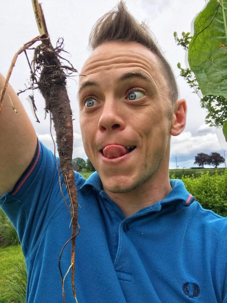 How to weed your garden without chemicals: organic weed removal ...