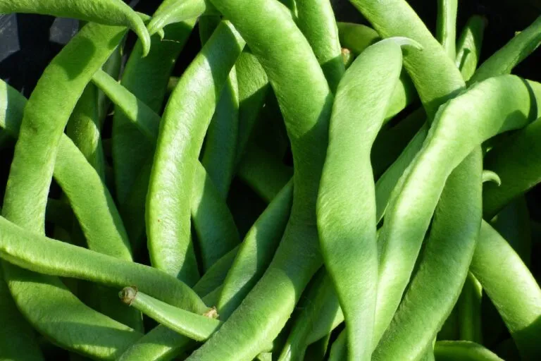 What to Sow & Grow in April: Your Complete UK Gardening Guide - Garden ...