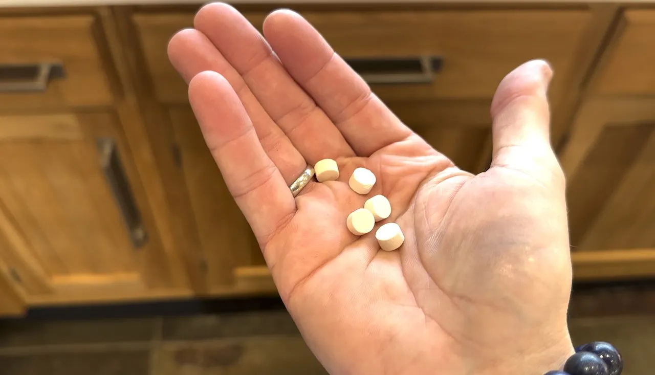 How to get rid of fungus gnats & sciarid flies from house plants ...