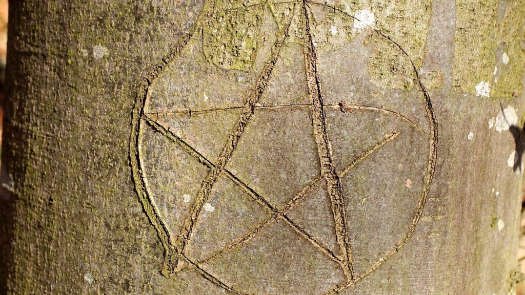 Trees and Their Influence on Witchcraft: Exploring Magic, Folklore ...