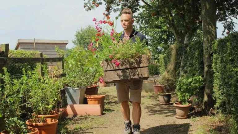 30 Best Low Maintenance Garden Plants for UK Gardens - Garden Ninja ...